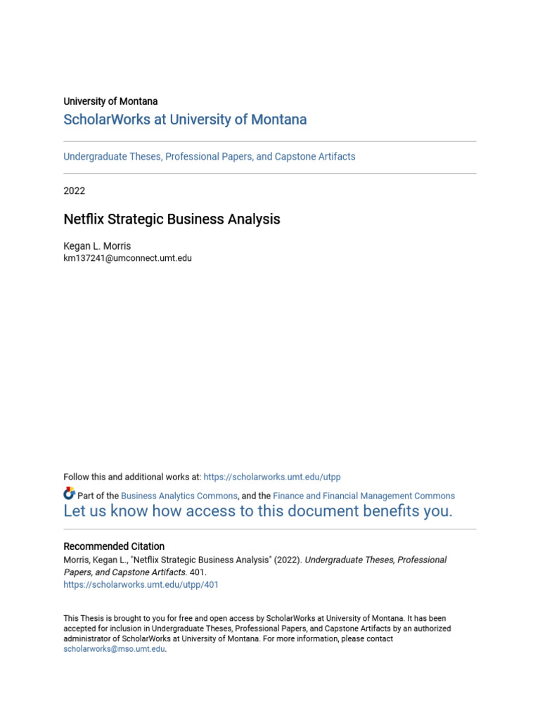 Netflix Strategic Business Analysis | PDF