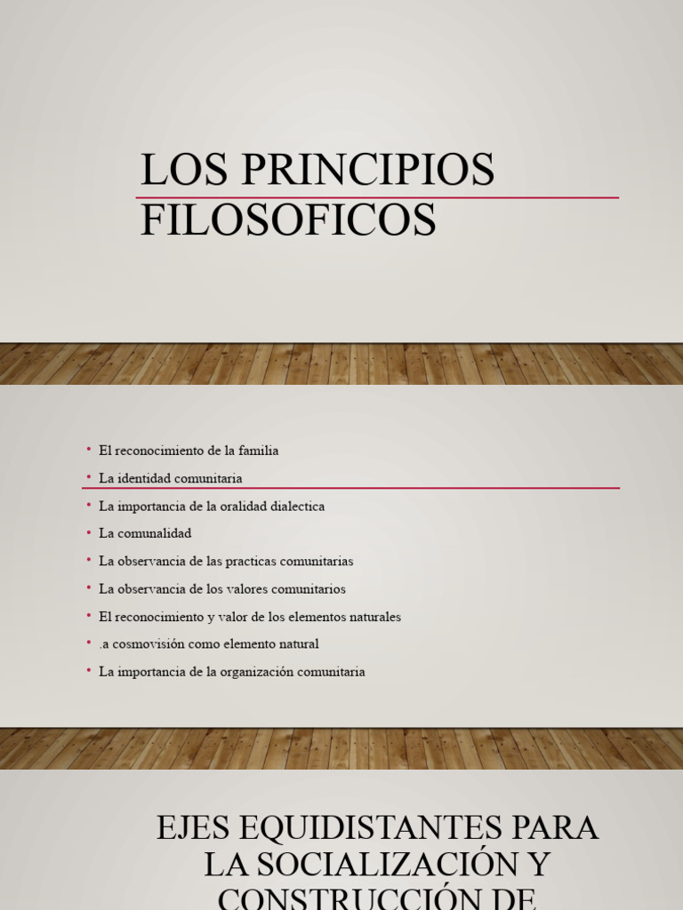 Los Principios Filosoficos | PDF