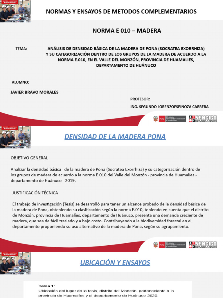 Norma e 010 Madera (Aplicacion) | PDF