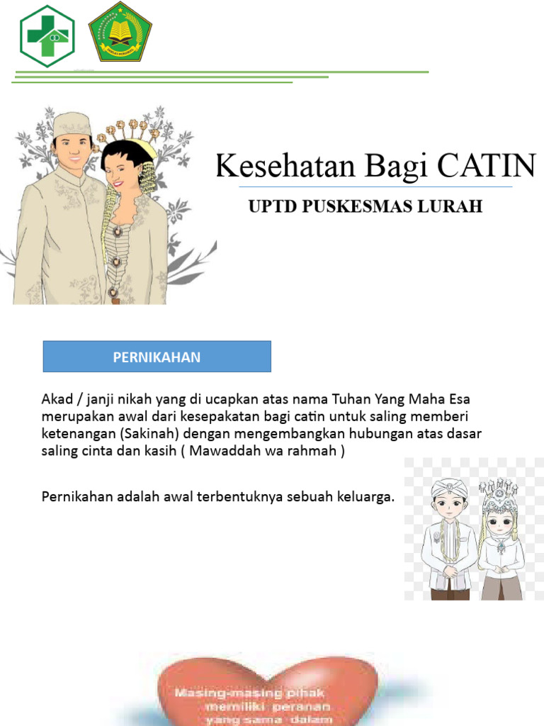 PPT CATIN | PDF