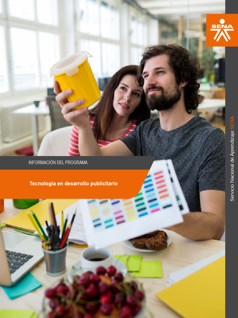 Informacion - Del - Programa Desarrollo Publicitario | PDF