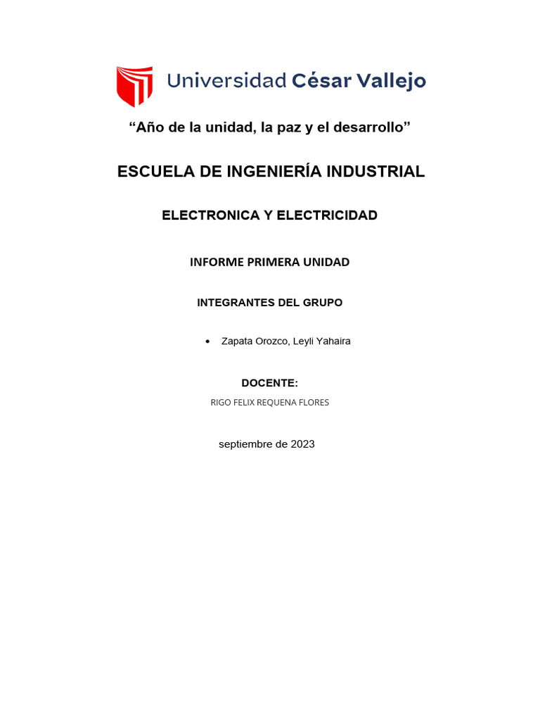 PROTEUS Informe | PDF