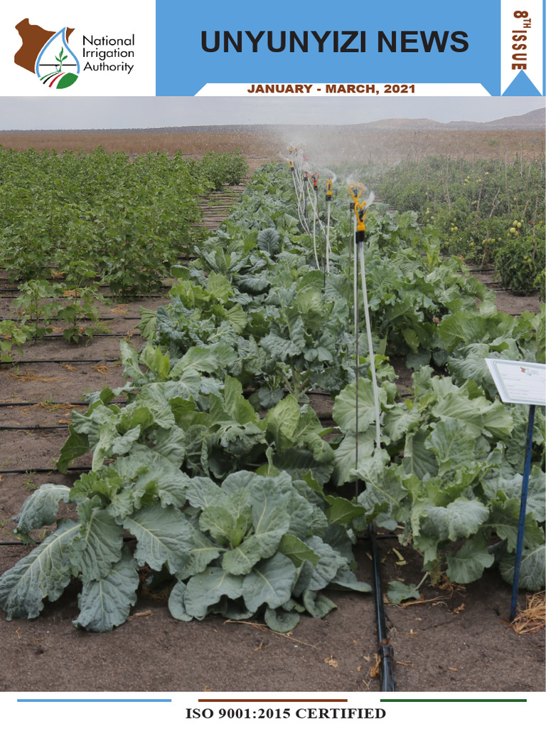 8th Issue Newsletter | PDF