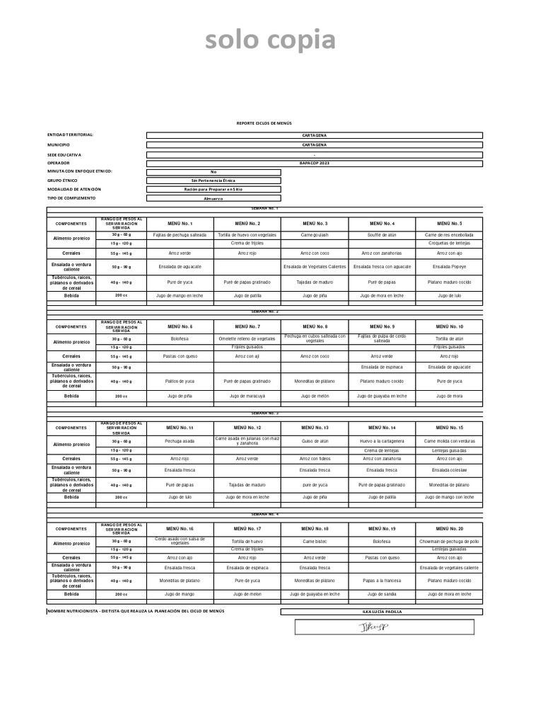 Ciclos de Menús Aps-2023 | PDF