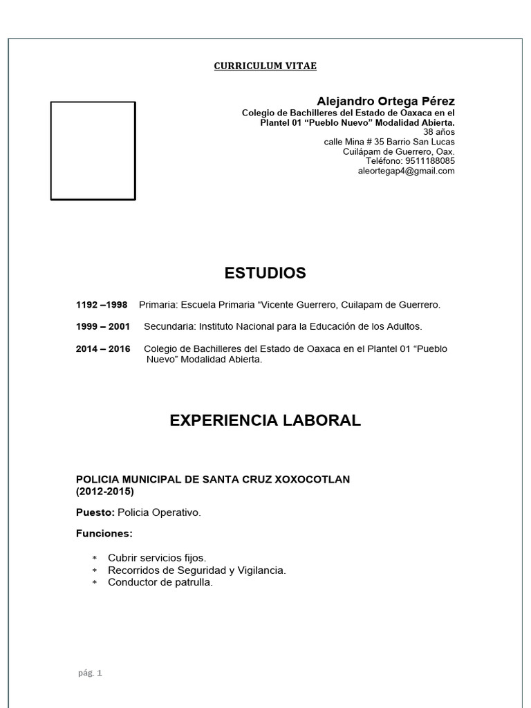 Curriculum Vitae Alejandro Ortega Perez | PDF