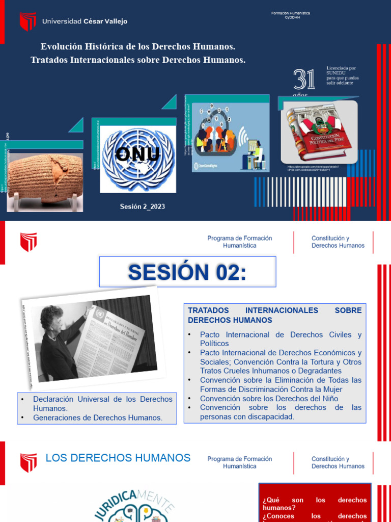 Evolución Histórica de Los Derechos Humanos. Tratados Internacionales Sobre Derechos Humanos | PDF