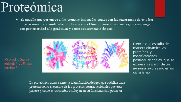 Proteomica | PDF