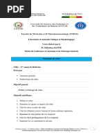 Anatomie et Fractures du Rocher | PDF | Tête et cou chez l'humain ...