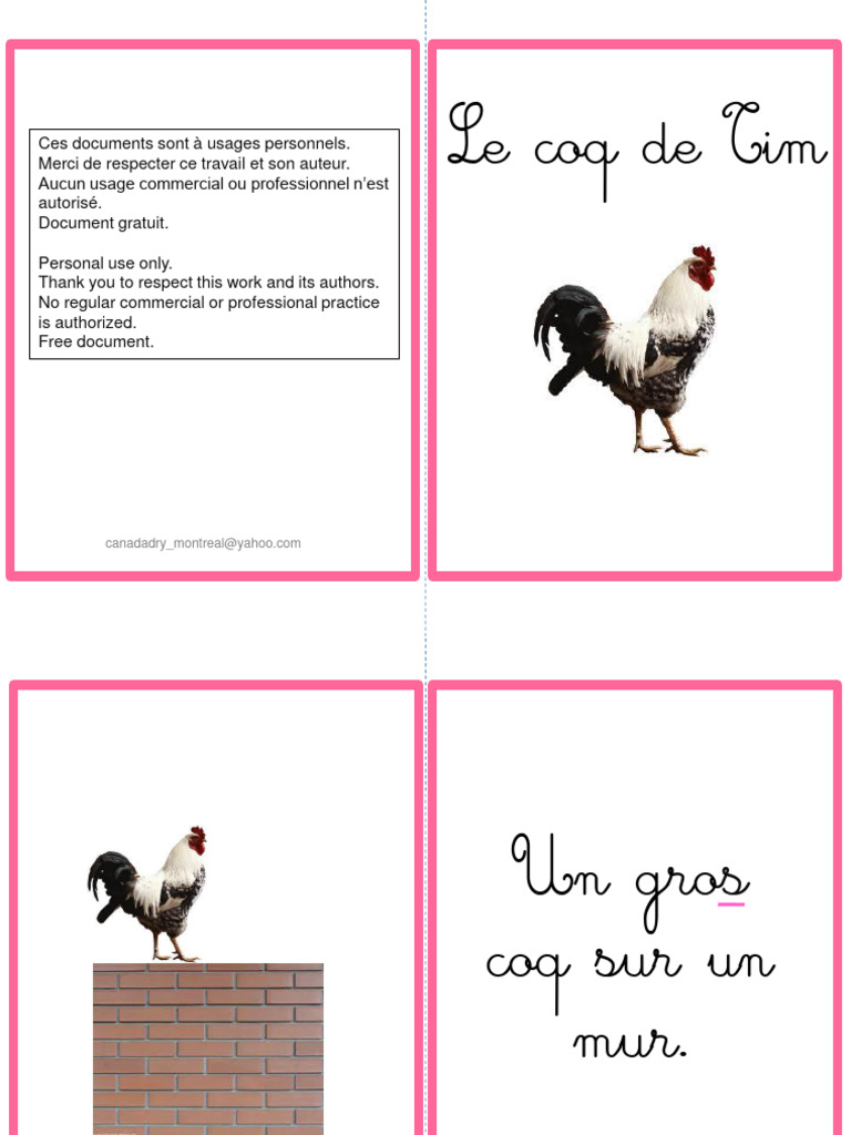 Livret Lecture Rose 1 | PDF