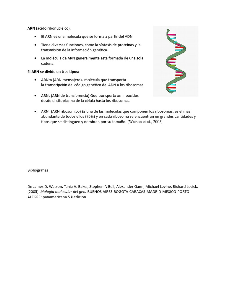 ARN (Ácido Ribonucleico) .: (Watson Et Al., 2005) | PDF | Salud y ...