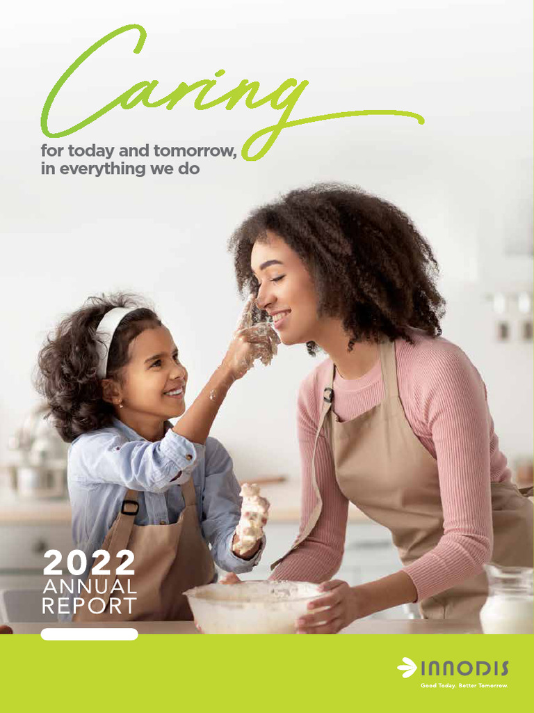 Innodis Annual Report 2022 1 | PDF