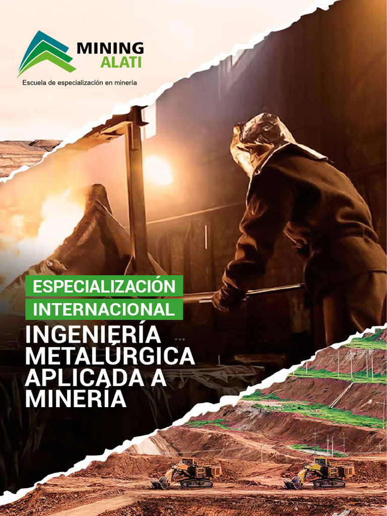 Especializacion Internacional Ingenieria Metalurgica | PDF | Minería | Metalurgia