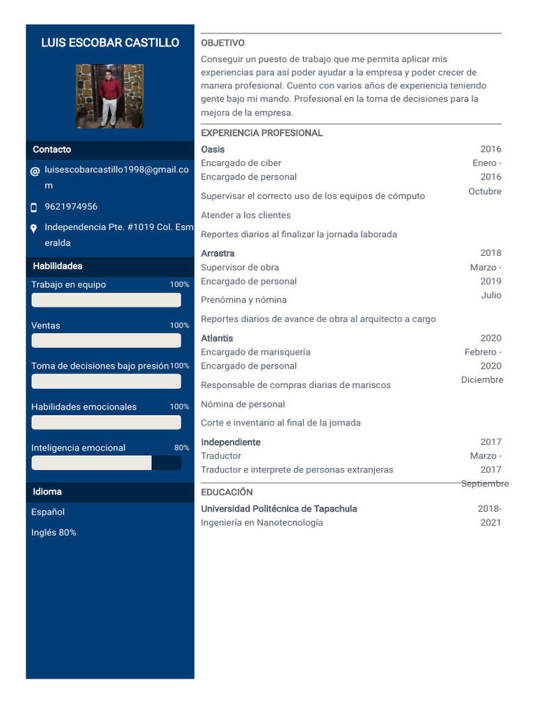 CV Luis Escobar Castillo | PDF
