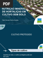 Concorde ICL Brazil | PDF | Agricultura