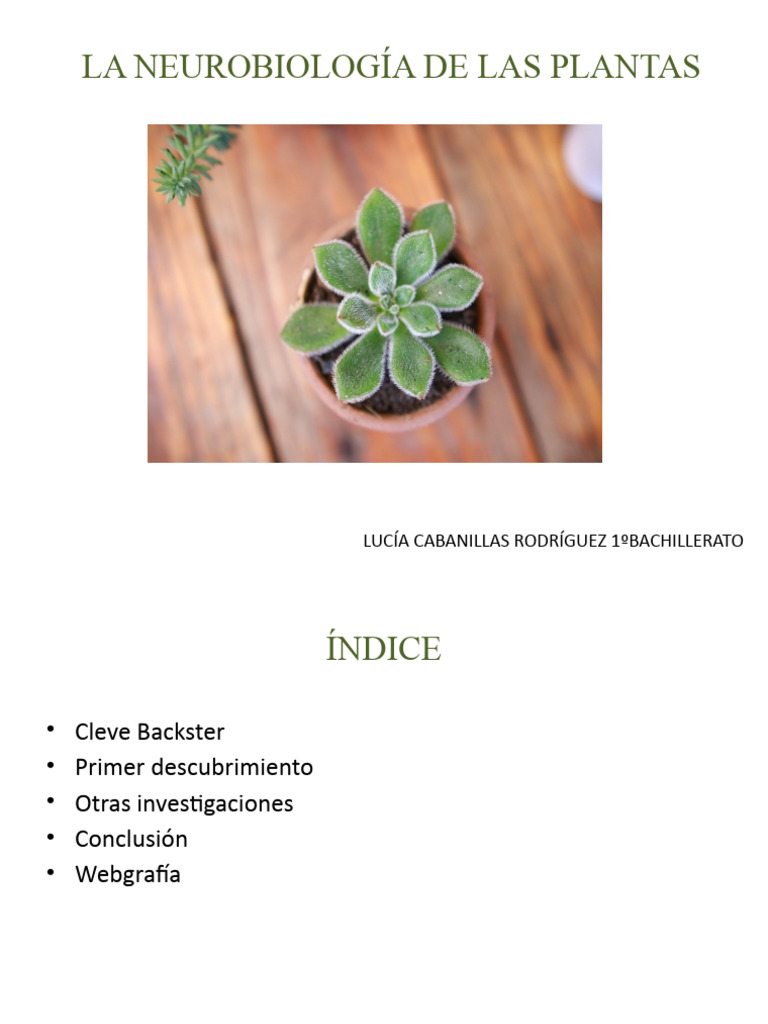 Lucia Cab. Cleve Backster | PDF