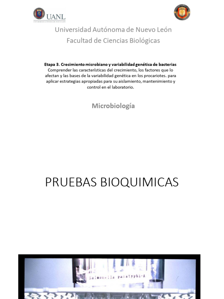 Pruebas Bioquimicas | PDF