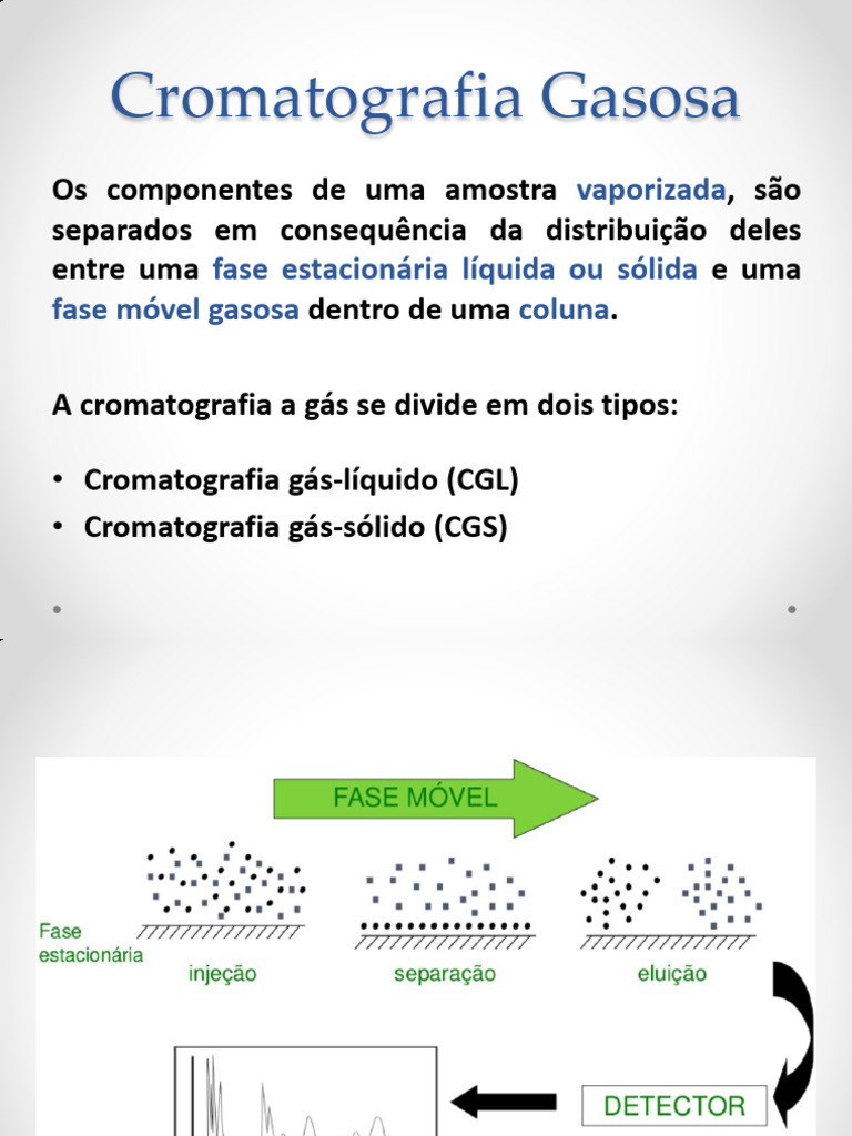Cromatografia Gasosa | PDF