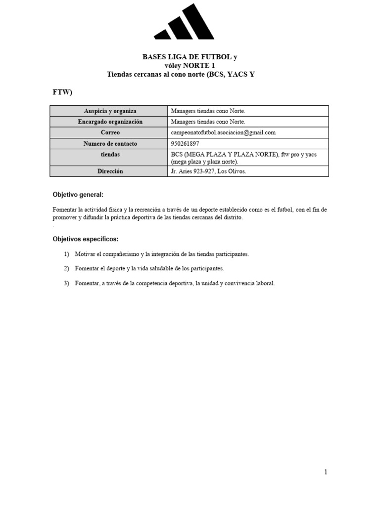 Bases Liga de Futbol | PDF