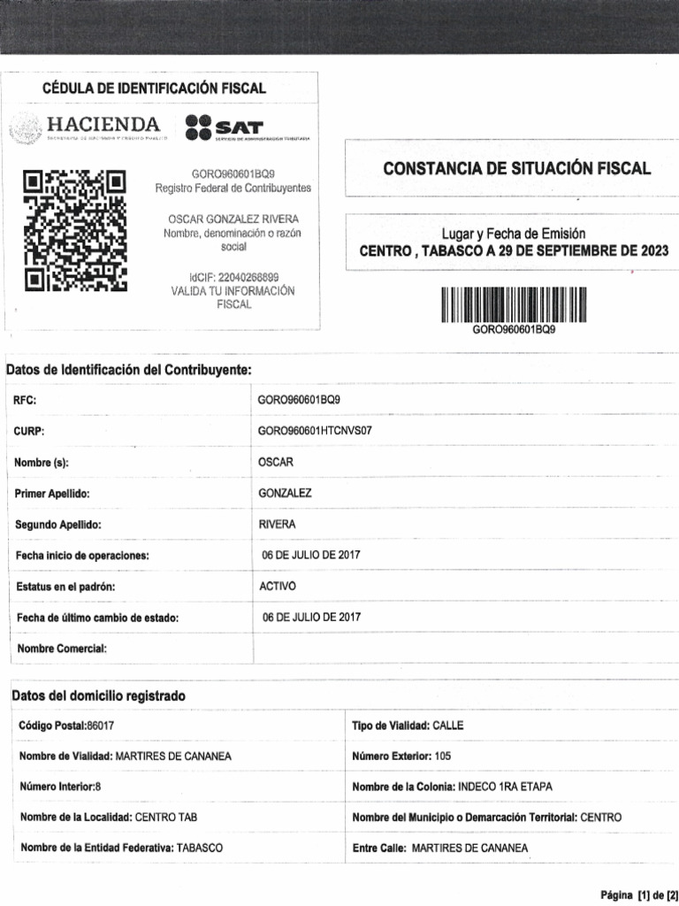 Constancia de Situacion Fiscal | PDF