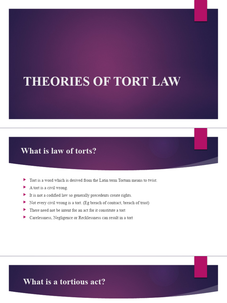 Understanding Tort Law Theories | PDF