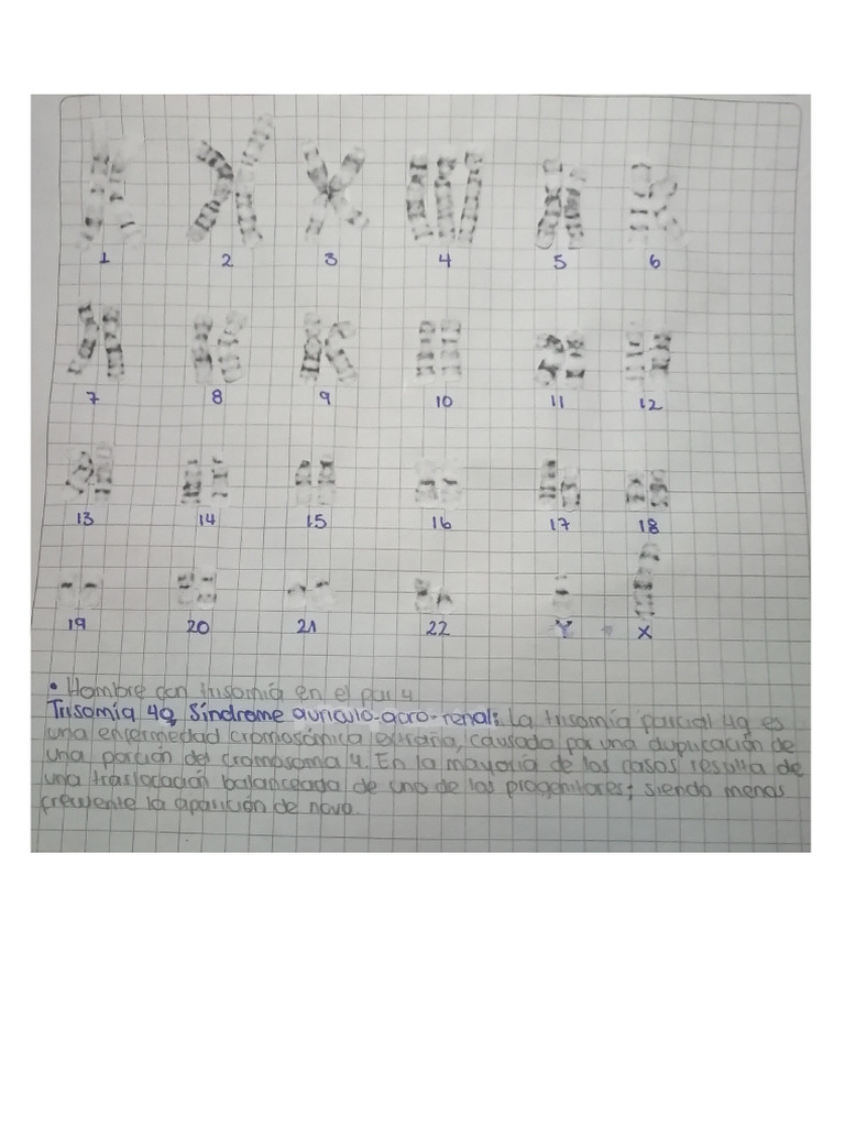 Cario Tipo | PDF