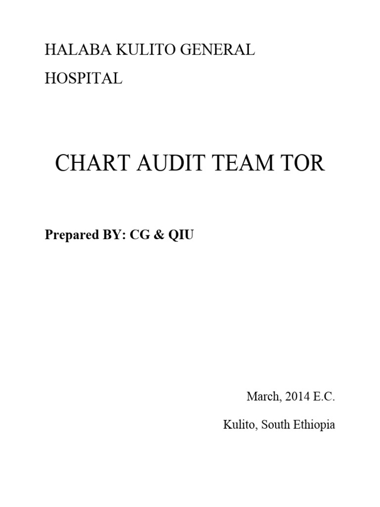 TOR For Chart Audit Team | PDF