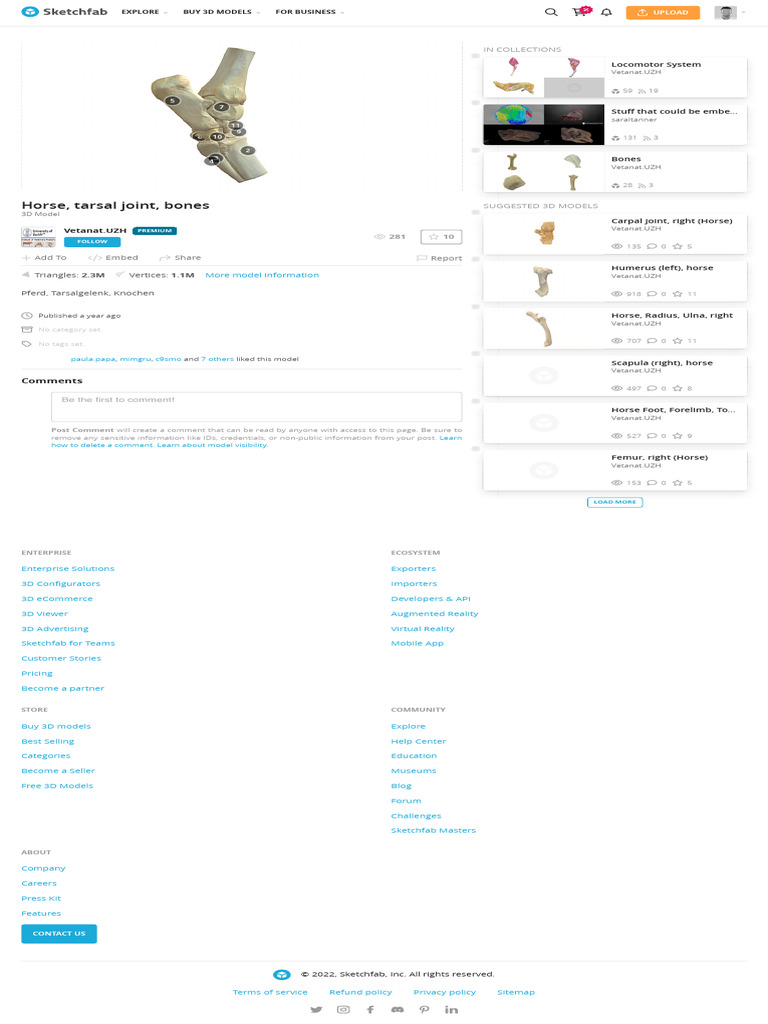 Horse, Tarsal Joint, Bones - 3D Model by Vetanat. | PDF