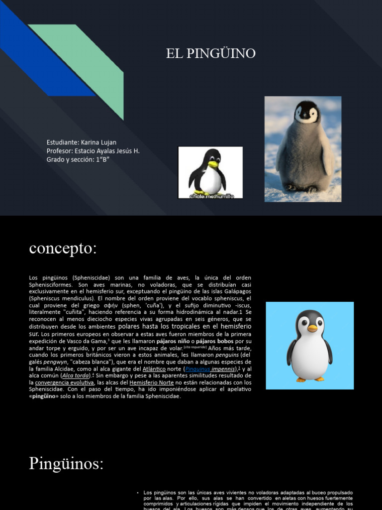 Los Pinguinos 2 | PDF | Pingüino | Aves