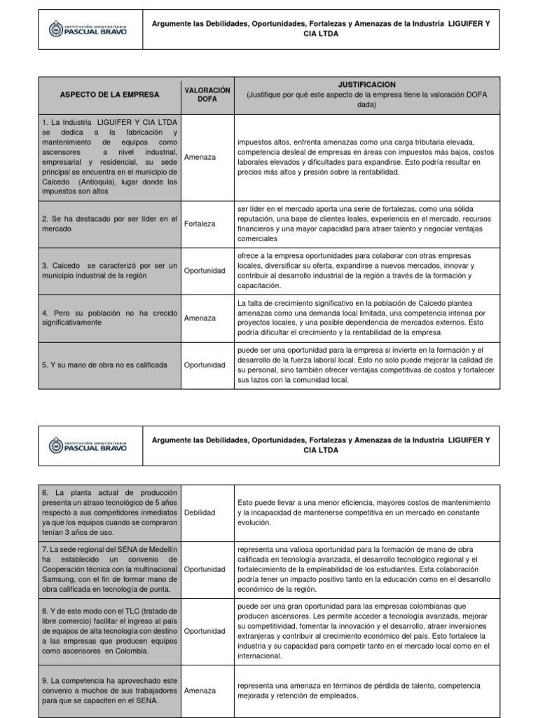 TIA DOFA Resuelto | PDF | Business | Análisis FODA
