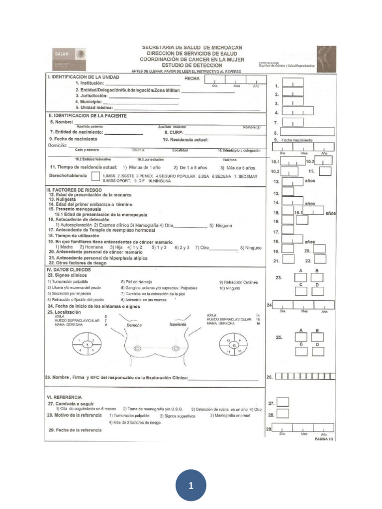 Formato Deteccion Cancer de Mamam | PDF