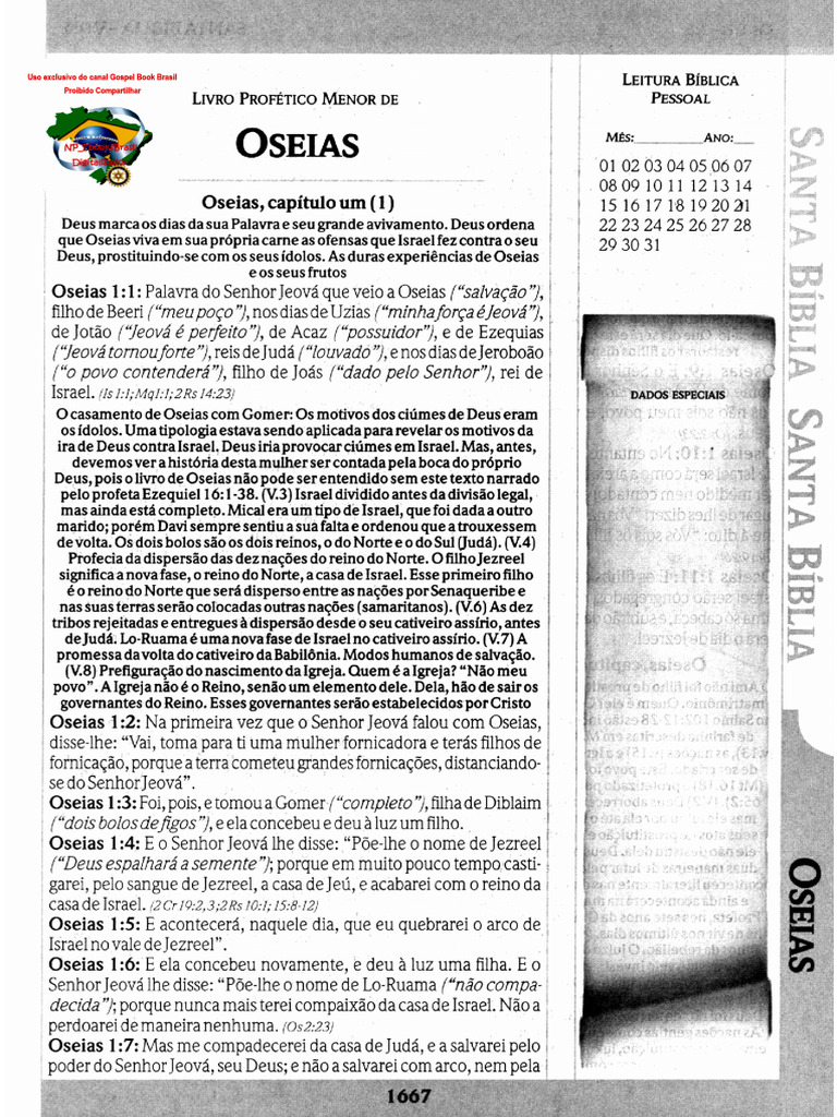 Santa Biblia-28 - Os-®ias-Vers-úo Di Nelson | PDF