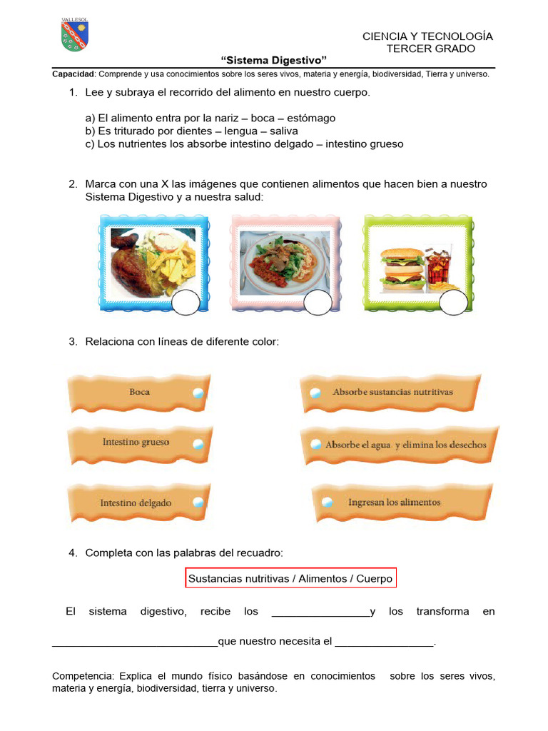 Ficha Sis Digestivo | PDF