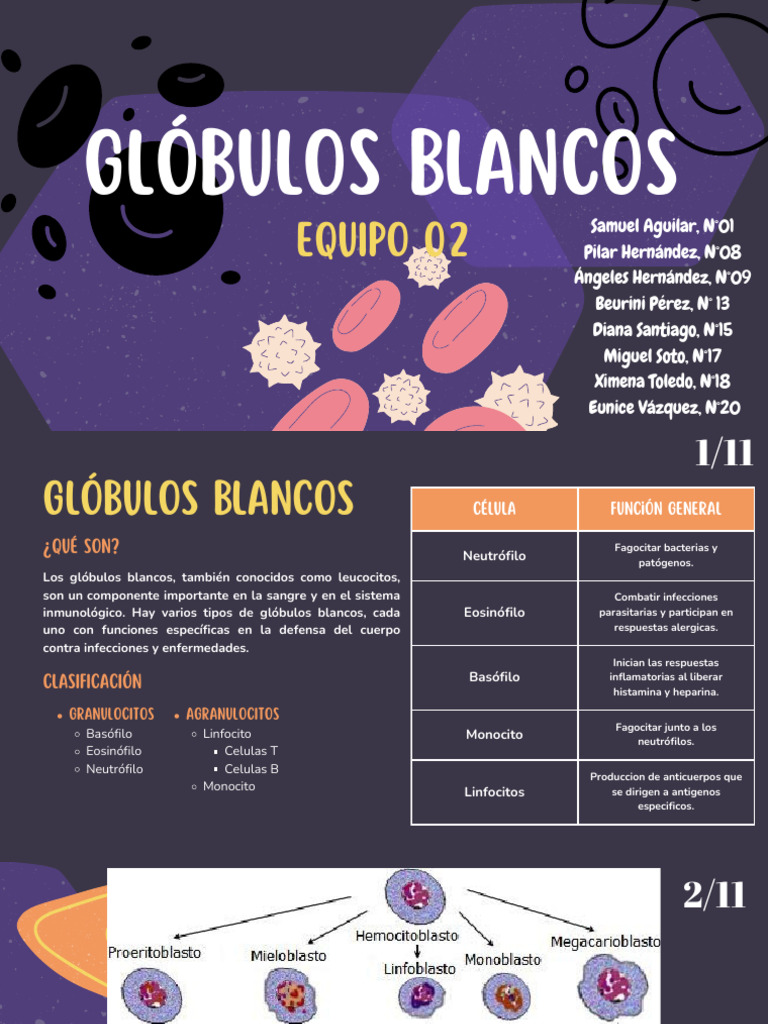 Glóbulos Blancos | PDF