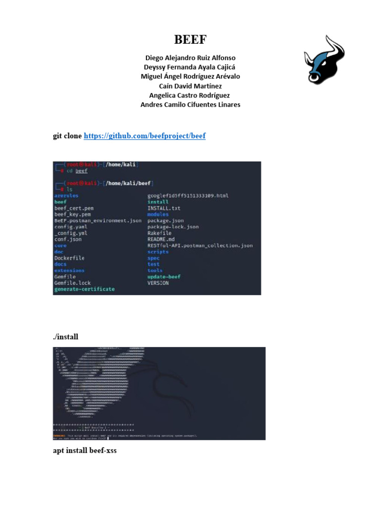 Configuración de BeEF para XSS en Kali Linux | PDF