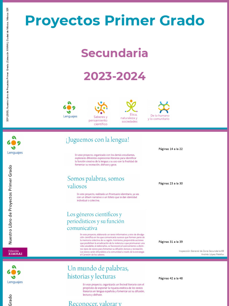 Proyectos Primer Grado Secundaria 2023 | PDF