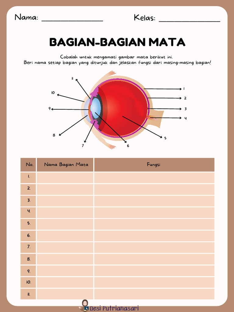 LKPD Bagian Mata & Fungsinya | PDF