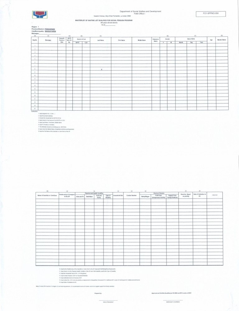 DSWD Masterlist For Qualified Social Pensioner Template | PDF