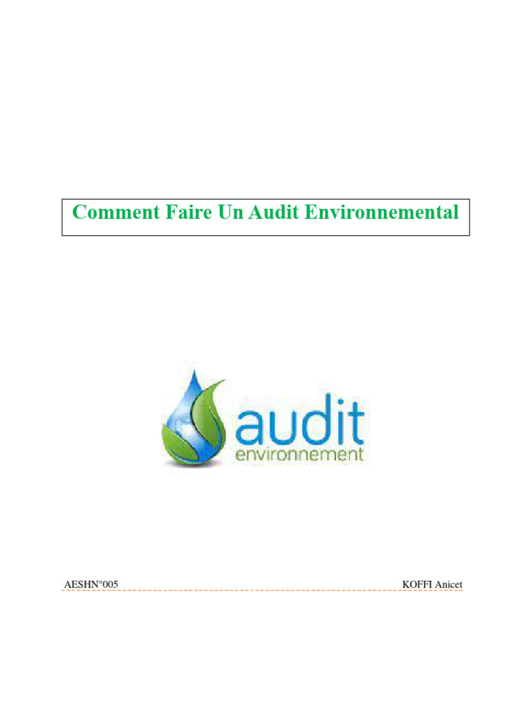 Comment Faire Un Audit Environnemental Ae | PDF