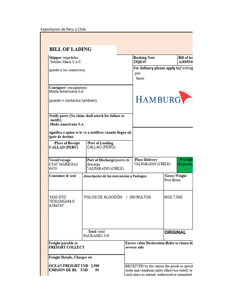 BILL OF LADING MODELO EJEMPLO SO8. | PDF | Bill Of Lading | Cargo