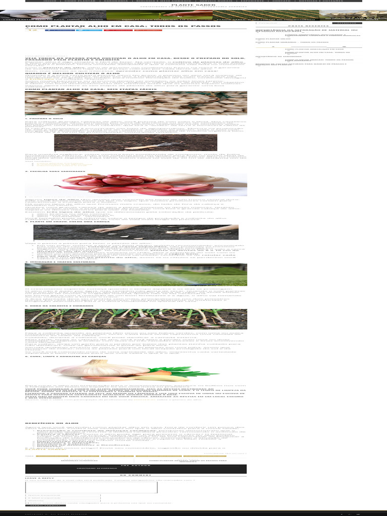 Como Plantar Alho em Casa Todos Os Passos - Plante Saber | PDF