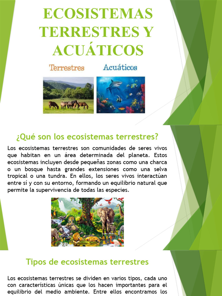 Ecosistemas Terrestres y Terrestres | PDF | Ecosistema | Agua