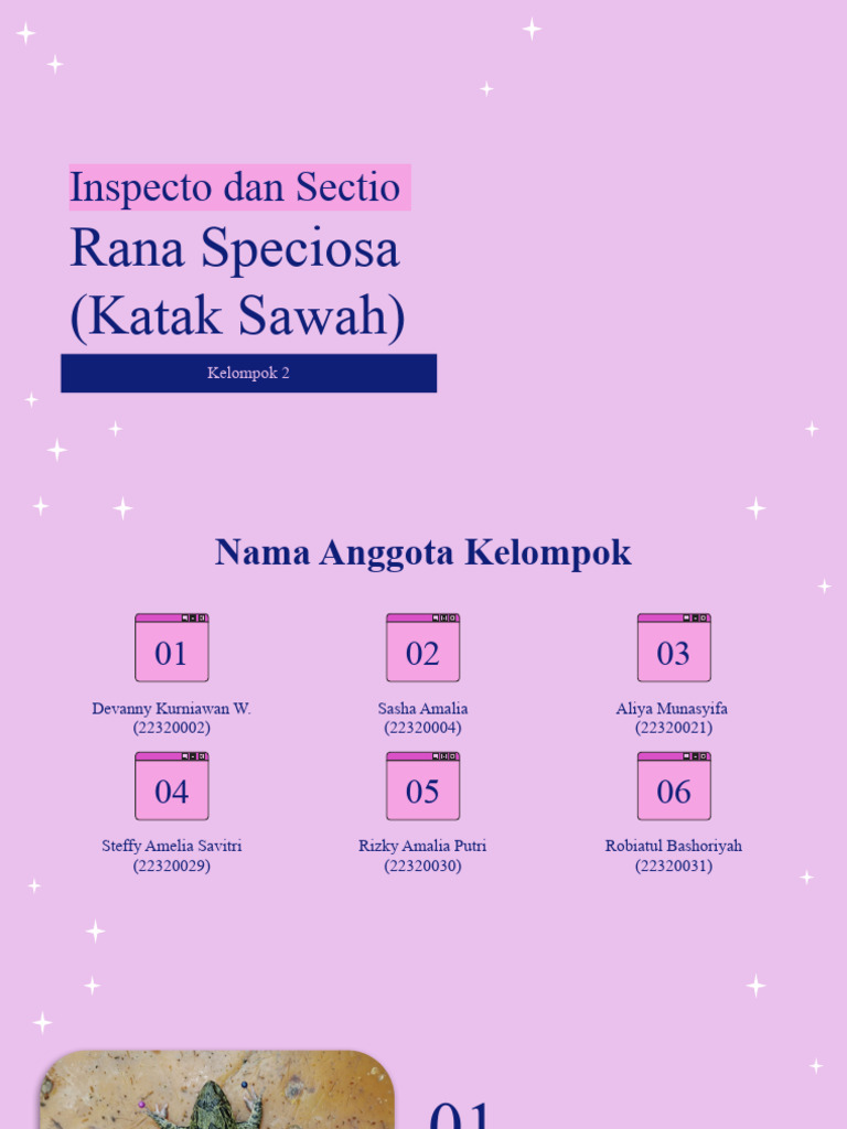 Inspectio N Sectio Katak Sawah | PDF