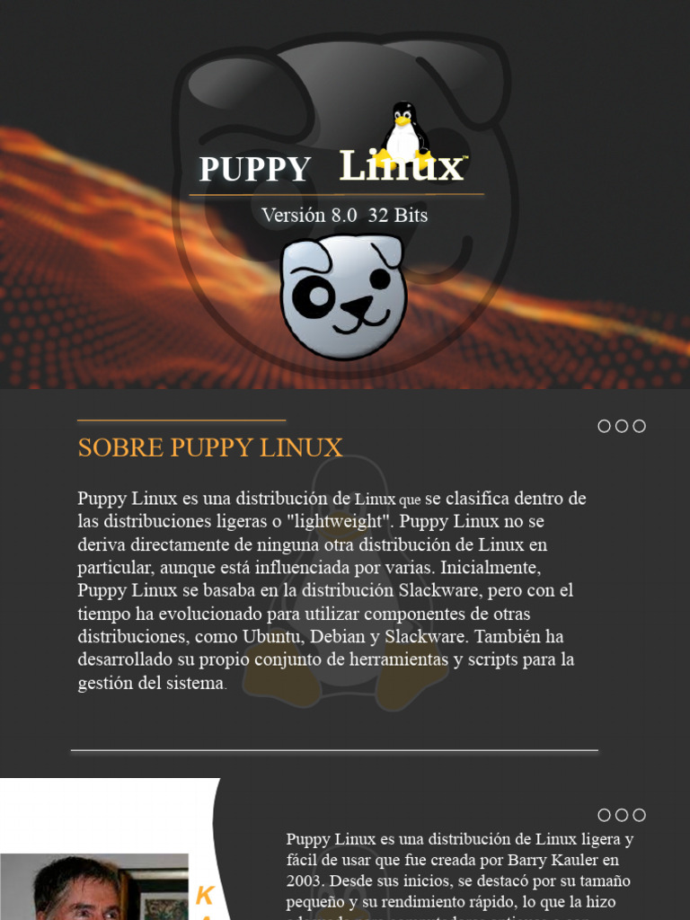Puppy Linux | PDF
