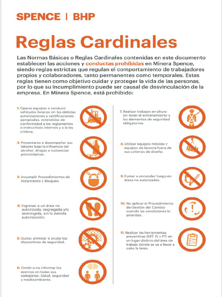 Reglas Cardinales | PDF