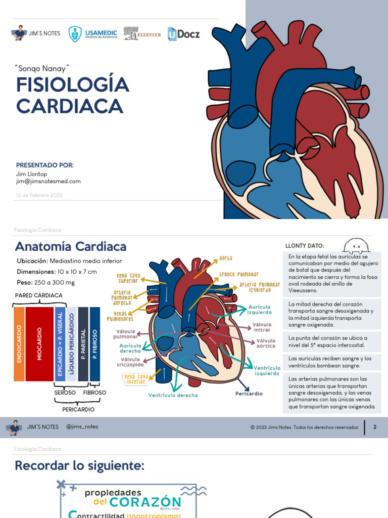 Fisiologia Cardiaca Ponencia Jim Llontop | PDF | Sistema circulatorio ...