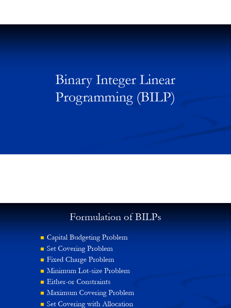 Session 12 BILP | PDF
