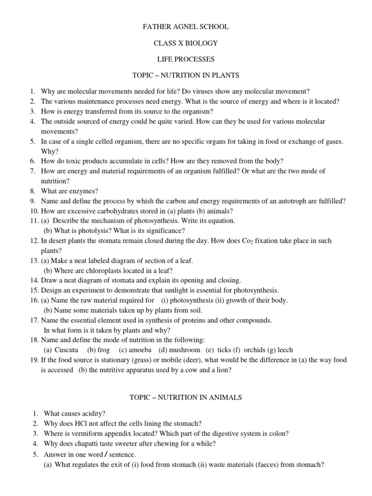 Class 10 Life Processes WKSHT | PDF | Heart | Digestion