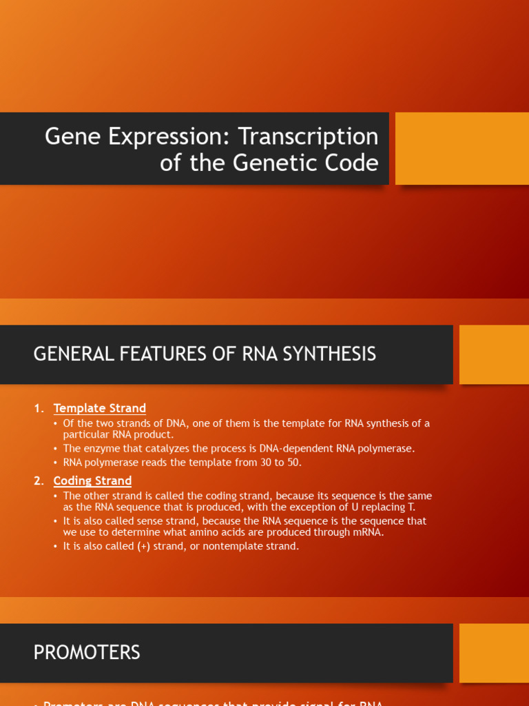 Gene Expression | PDF | Promoter (Genetics) | Rna