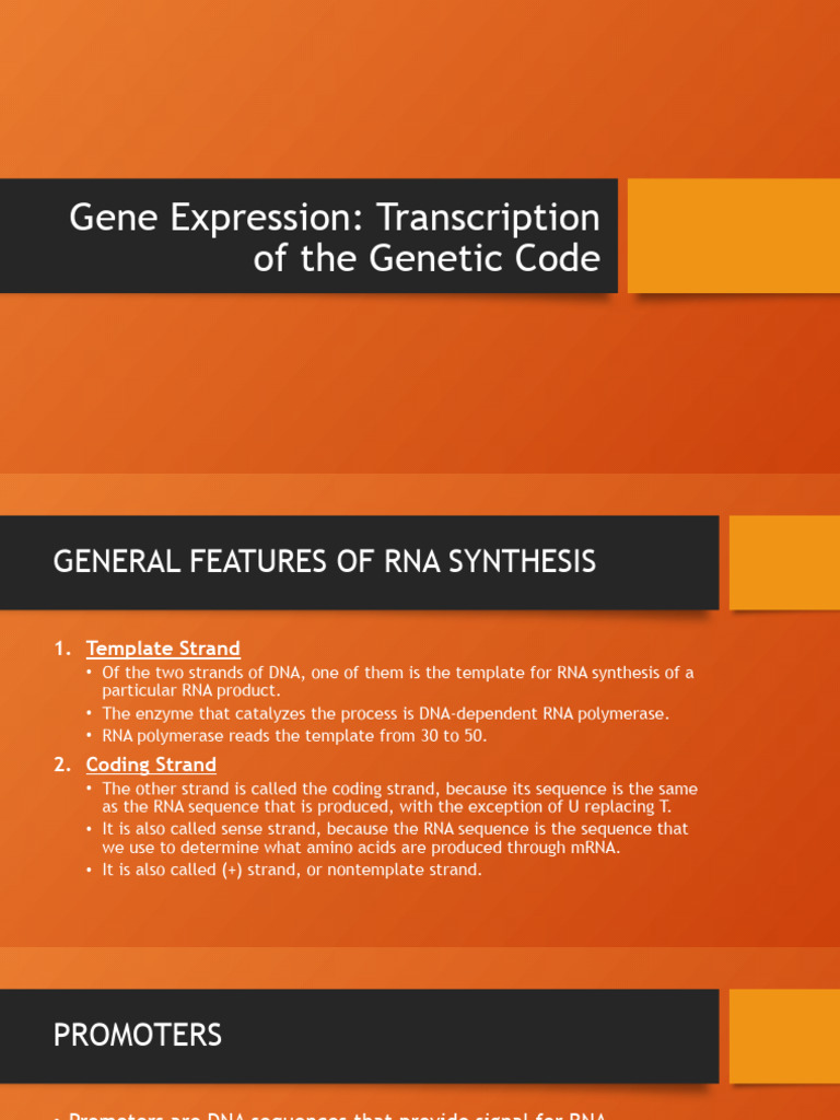 Gene Expression | PDF