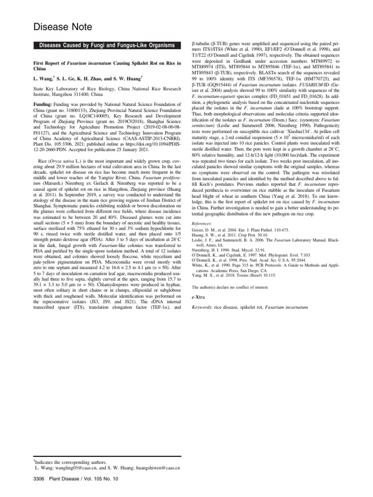 First Report of Fusarium Incarnatum Causing Spikelet Rot On Rice in ...